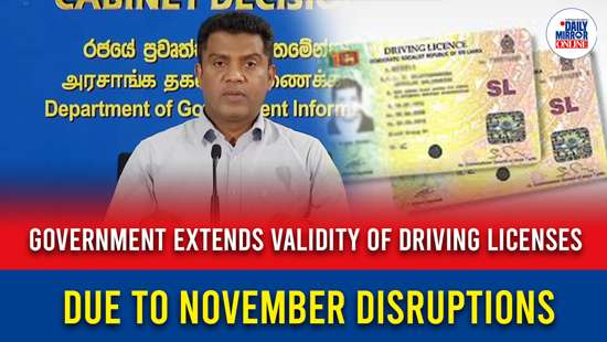 Government extends validity of driving licenses due to November ...
