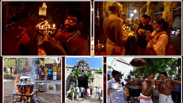 Thai Pongal celebrated... - Caption Story | Daily Mirror