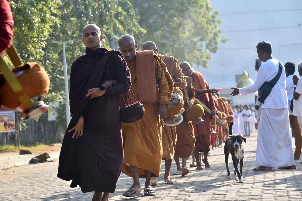 Pindapatha Charika... - Caption Story | Daily Mirror