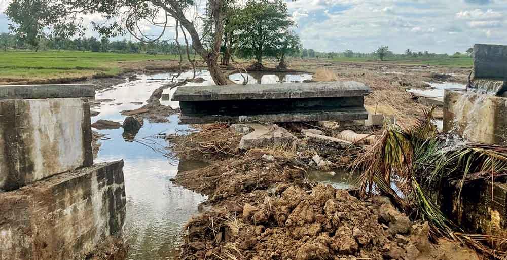 To restore devastated agrifood sector FAO seeks international support ...