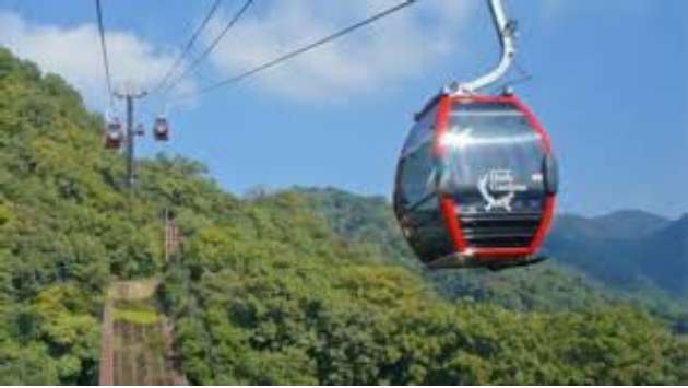 Environment Ministry to look into Chinese company pulling out of ...