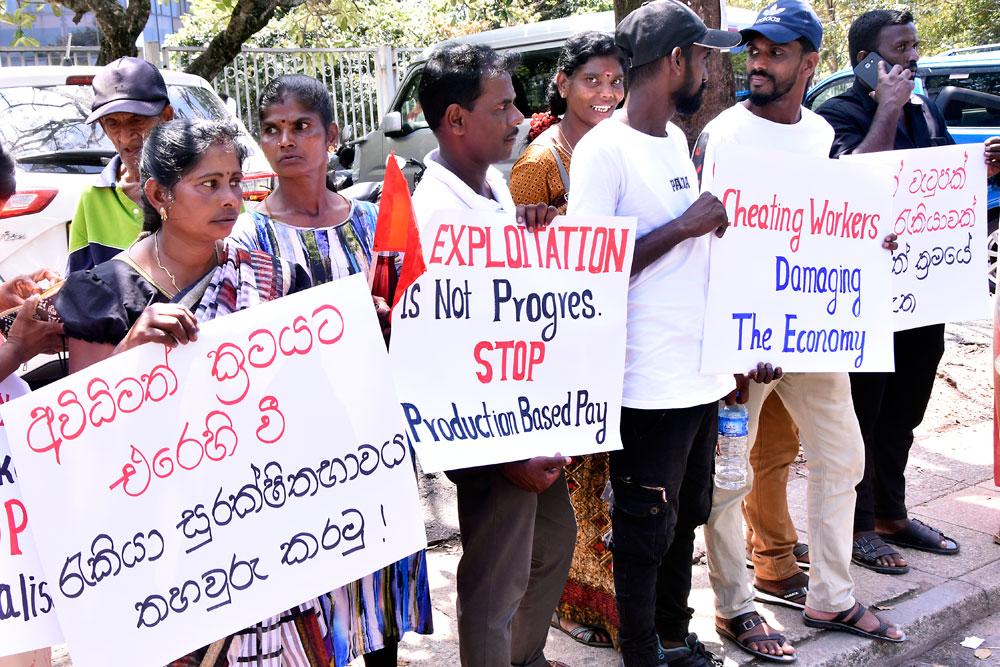 Stop informal labour system - Caption Story | Daily Mirror