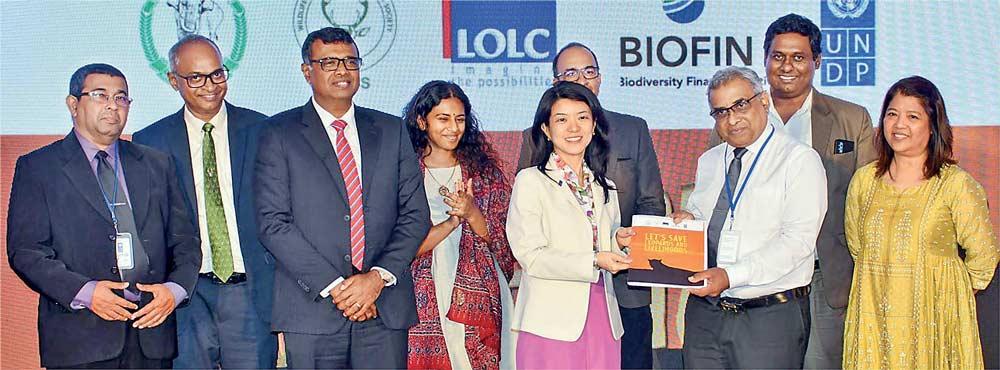 Daily Mirror - Sri Lanka Latest Breaking News and Headlines - Print ...