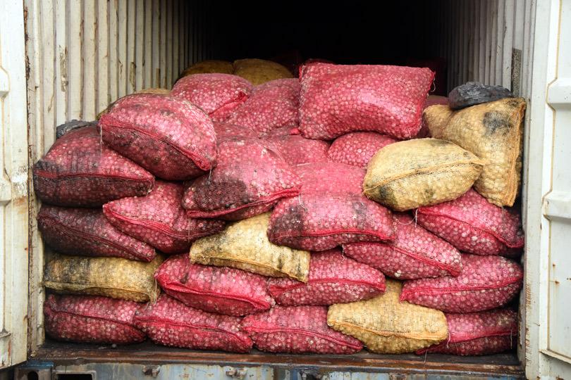 SL Customs thwart massive Karunka transshipment at port - Breaking News ...