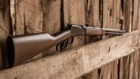 Firearm permits for crop protection to be issued: State Defence ...