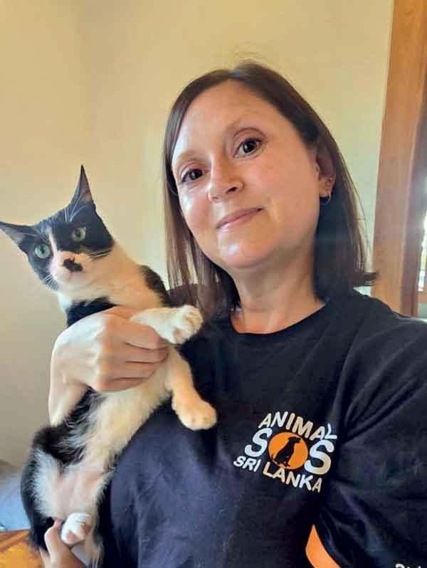 Daily Mirror - Sri Lanka Latest Breaking News and Headlines - Print ...