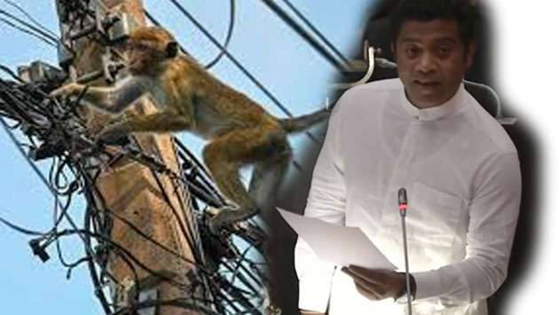 Don’t remind monkey incident all the time: Nalinda tells Opposition ...