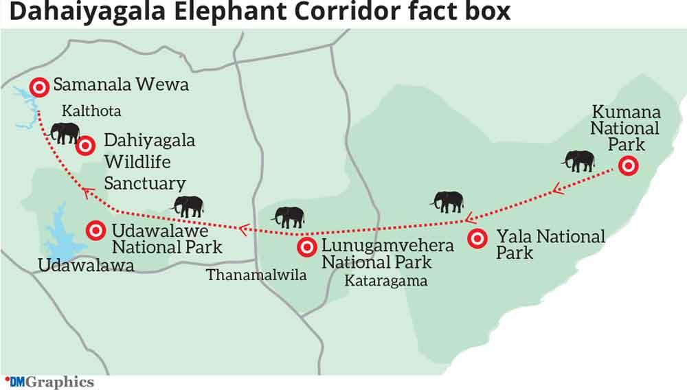 Daily Mirror - Sri Lanka Latest Breaking News and Headlines - Print ...