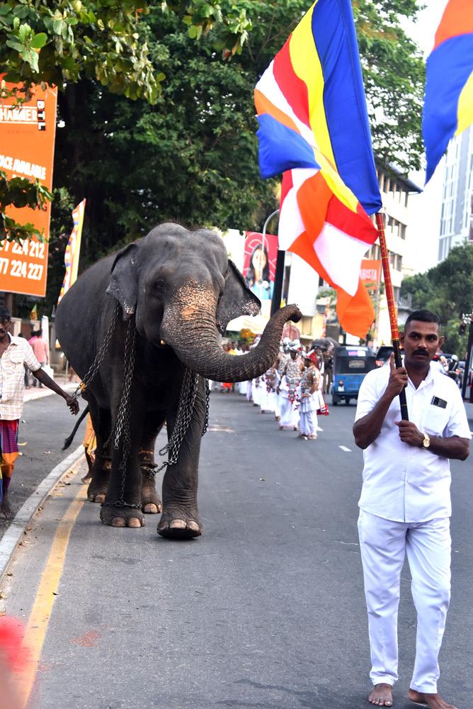 Before Gangaramaya Navam Perahera… - Caption Story | Daily Mirror