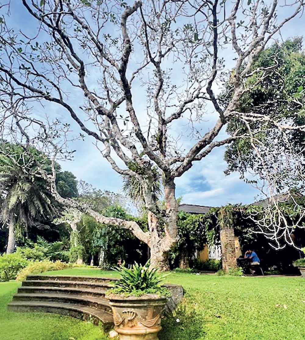 Daily Mirror - Sri Lanka Latest Breaking News and Headlines - Print ...