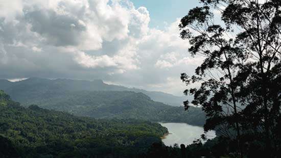 The Pekoe Trail in Sri Lanka: A Practical Guide with Insights from Arj Samarakoon - Press ...