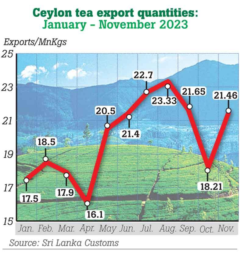 November tea exports expand by 11% YoY - Business News | Daily Mirror