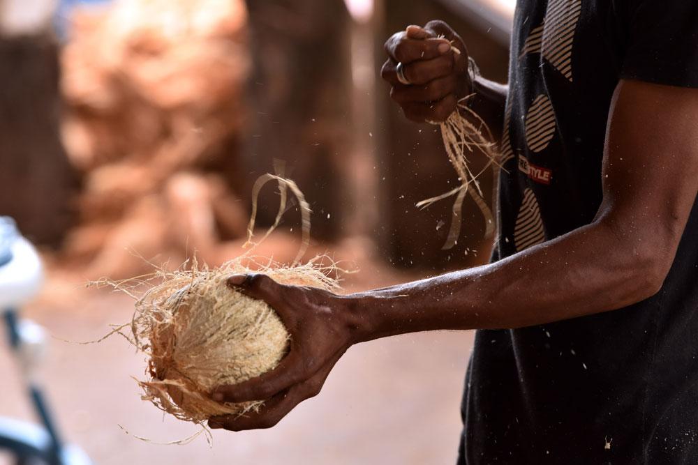 Scraped coconut bag sold at Rs. 210 - Caption Story | Daily Mirror