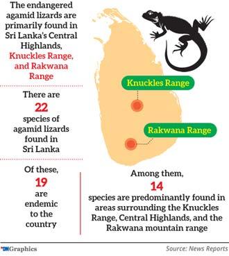 Absence of protected habitats Will threatened Sri Lankan lizards vanish ...