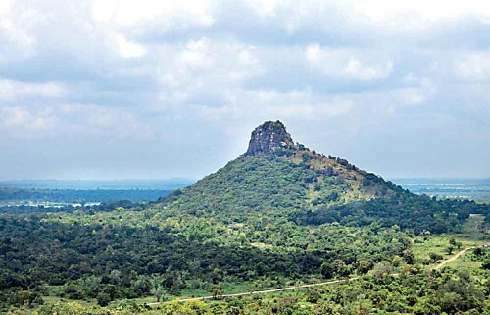 ‘Thoppigala’ excursion Adventure climb in Batti - Life | Daily Mirror