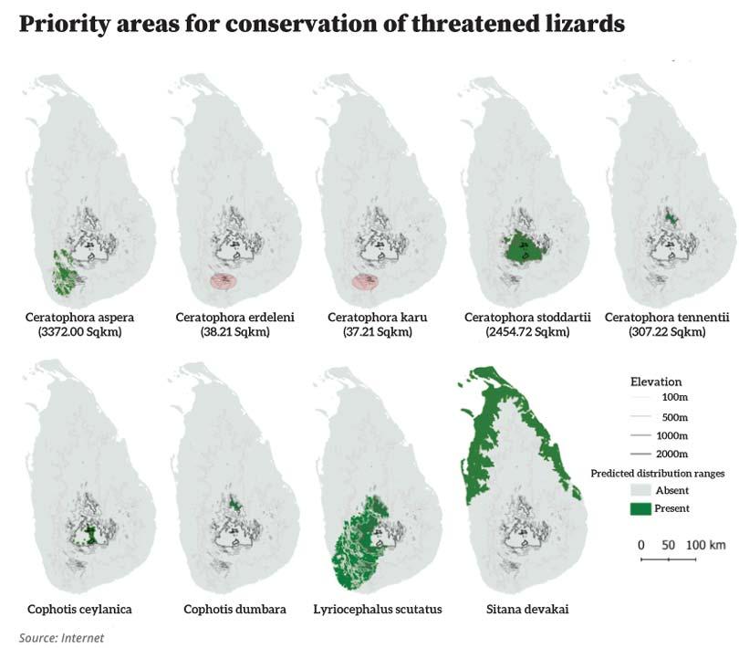 Absence of protected habitats Will threatened Sri Lankan lizards vanish ...