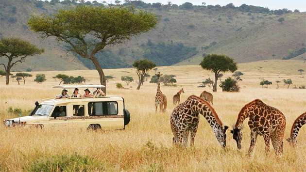 Kenya records 7.9 million tourists in 2025 as sector earns Ksh.500 ...