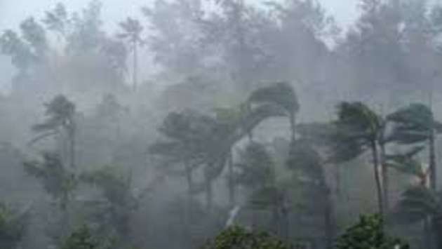 Inclement weather conditions claim four lives - Breaking News | Daily ...