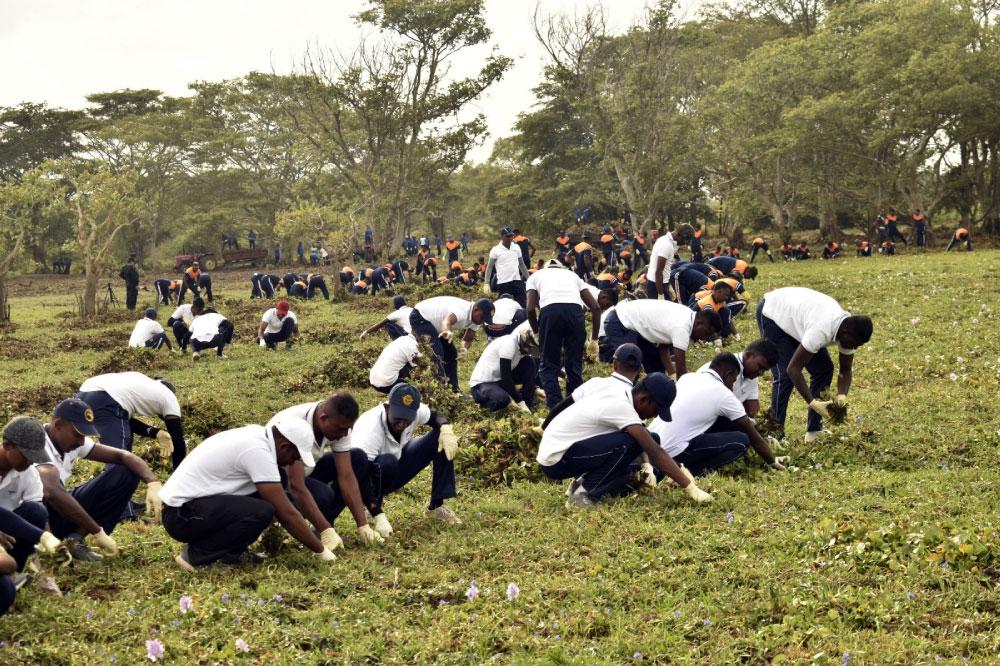 “Kala Wewa back to the elephants” project restores elephant habitats ...