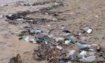Clinical waste: MEPA to request Ministry to take up issue with India ...