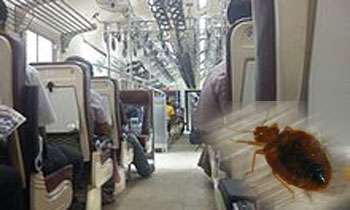 Bugs become a menace on trains: Railways Official - Breaking News ...